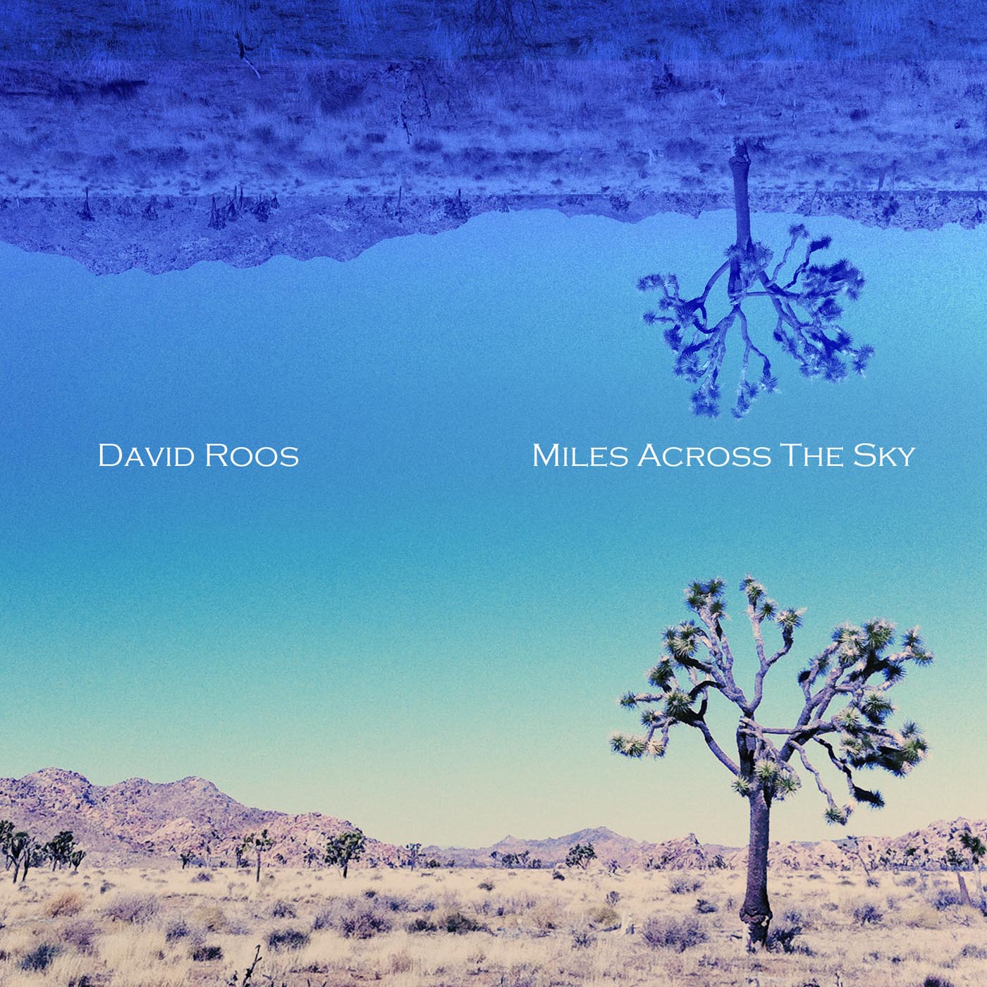 Discography – David Roos