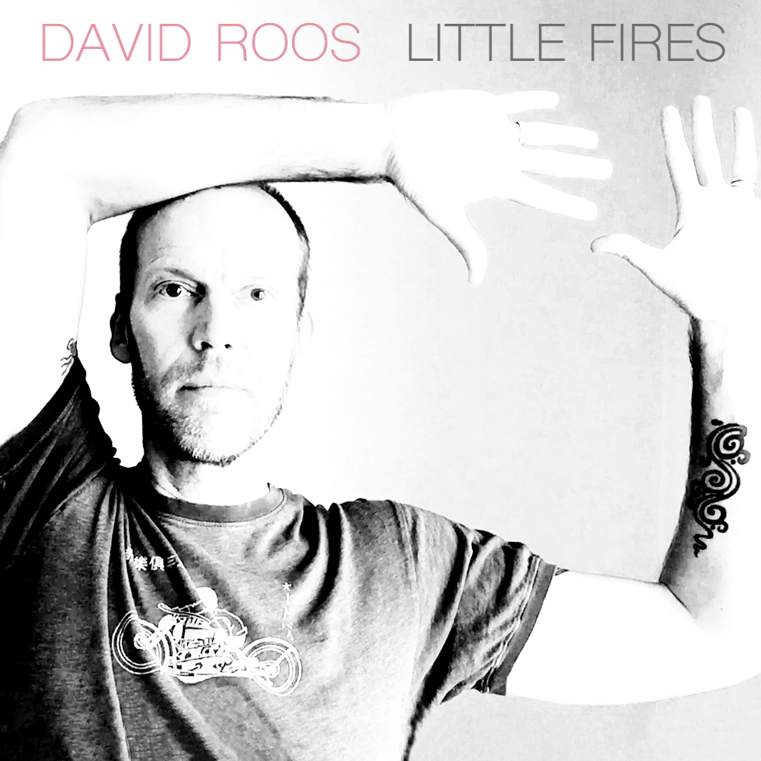 Discography – David Roos